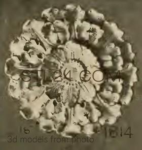 Rosettes - ROSETTE_1783 - | 3D model 3DSMAX / OBJ / STL. 3D stl model ...