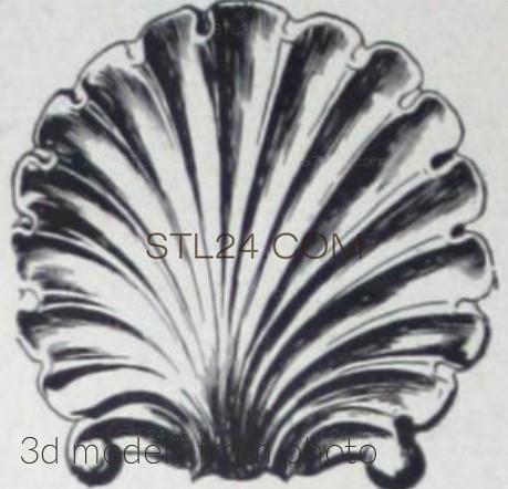 Shells - SHELL_0043 - | 3D model 3DSMAX / OBJ / STL. 3D stl model for CNC