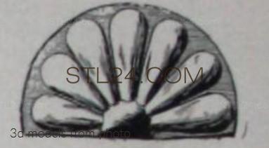 Shells - SHELL_0047 - | 3D model 3DSMAX / OBJ / STL. 3D stl model for CNC