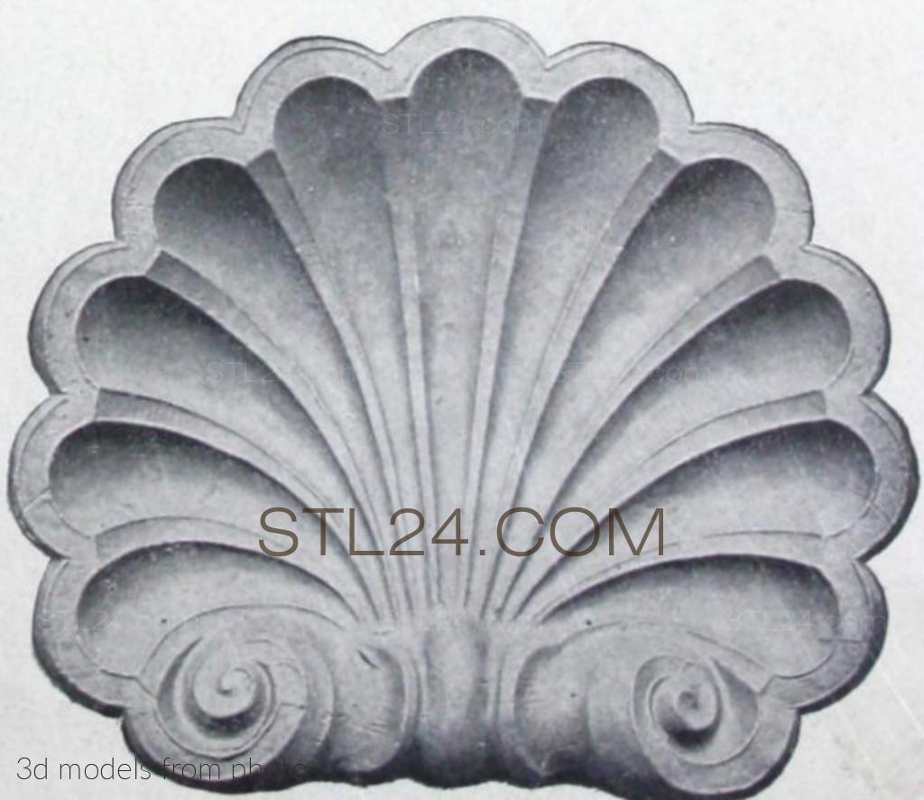 Shells - SHELL_0059 - | 3D model 3DSMAX / OBJ / STL. 3D stl model for CNC