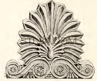 Shells - SHELL_0140 - | 3D model 3DSMAX / OBJ / STL. 3D stl model for CNC