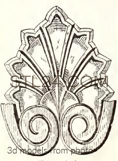 Shells - SHELL_0158 - | 3D model 3DSMAX / OBJ / STL. 3D stl model for CNC