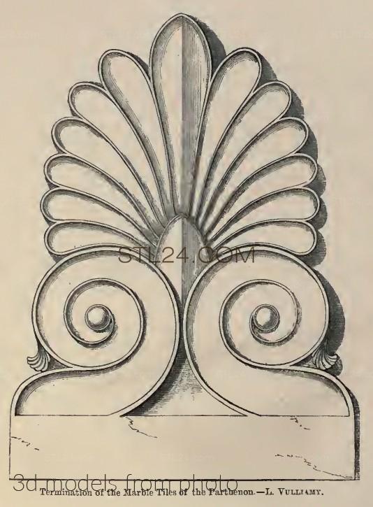 Shells - SHELL_0163 - | 3D model 3DSMAX / OBJ / STL. 3D stl model for CNC