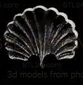 Shells - SHELL_0205 - | 3D model 3DSMAX / OBJ / STL. 3D stl model for CNC